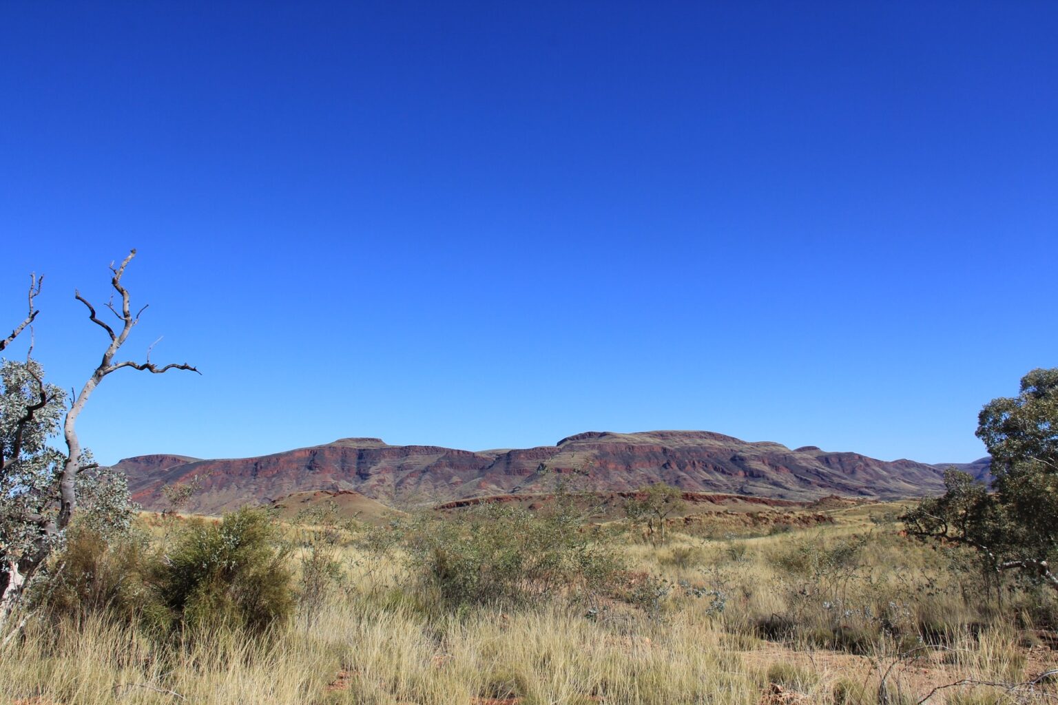 Aboriginal Land Services
